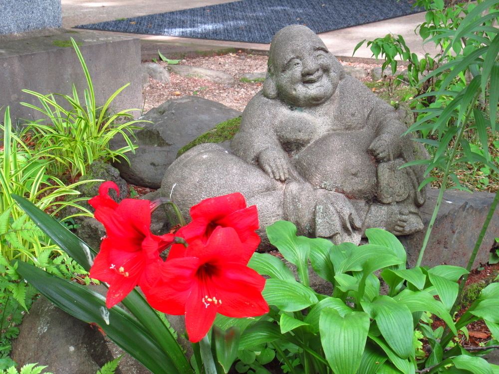 街中の花: ミャーの星2