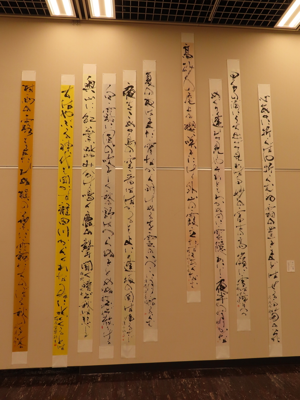 朴豊会書展: ミャーの星2